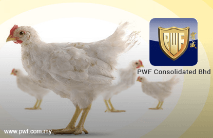 PWF Consolidated shareholders well rewarded