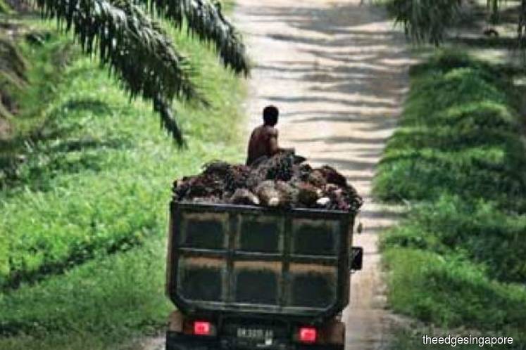 IndoAgri's 3Q earnings down 37% to S$10.1 mil on higher expenses and forex