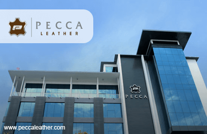 Pecca sees IPO as springboard to aviation sector
