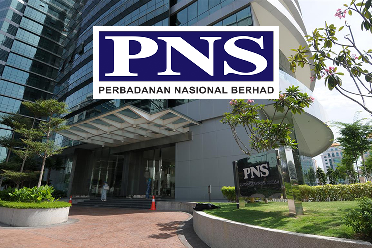 PNS appoints Zakaria Edris as chairman | The Edge Markets