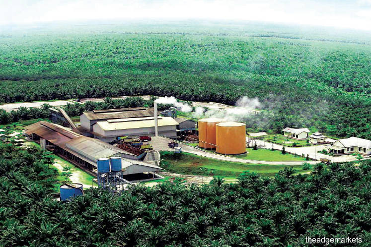 Turkey Of The Year: Why did FELDA buy 37% of Eagle High?