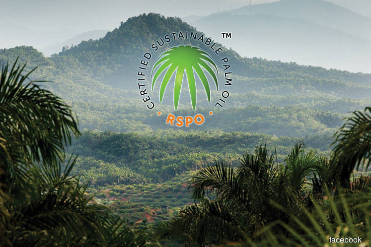 RSPO proposes new standard for independent smallholders