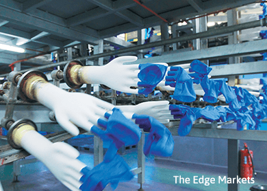 Rubber glove sector remains bullish on capacity expansion