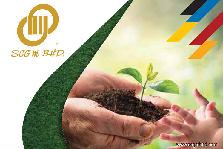 SCGM expected to expand exports due to big and consistent orders