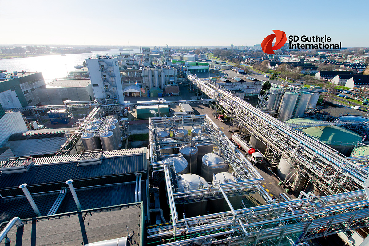 Not All Palm Oil Is Created Equal