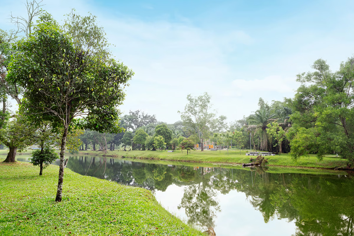 Taman Subang Ria: A Lush Oasis in Subang Jaya Where Nature and Community Thrive | KLSE Screener
