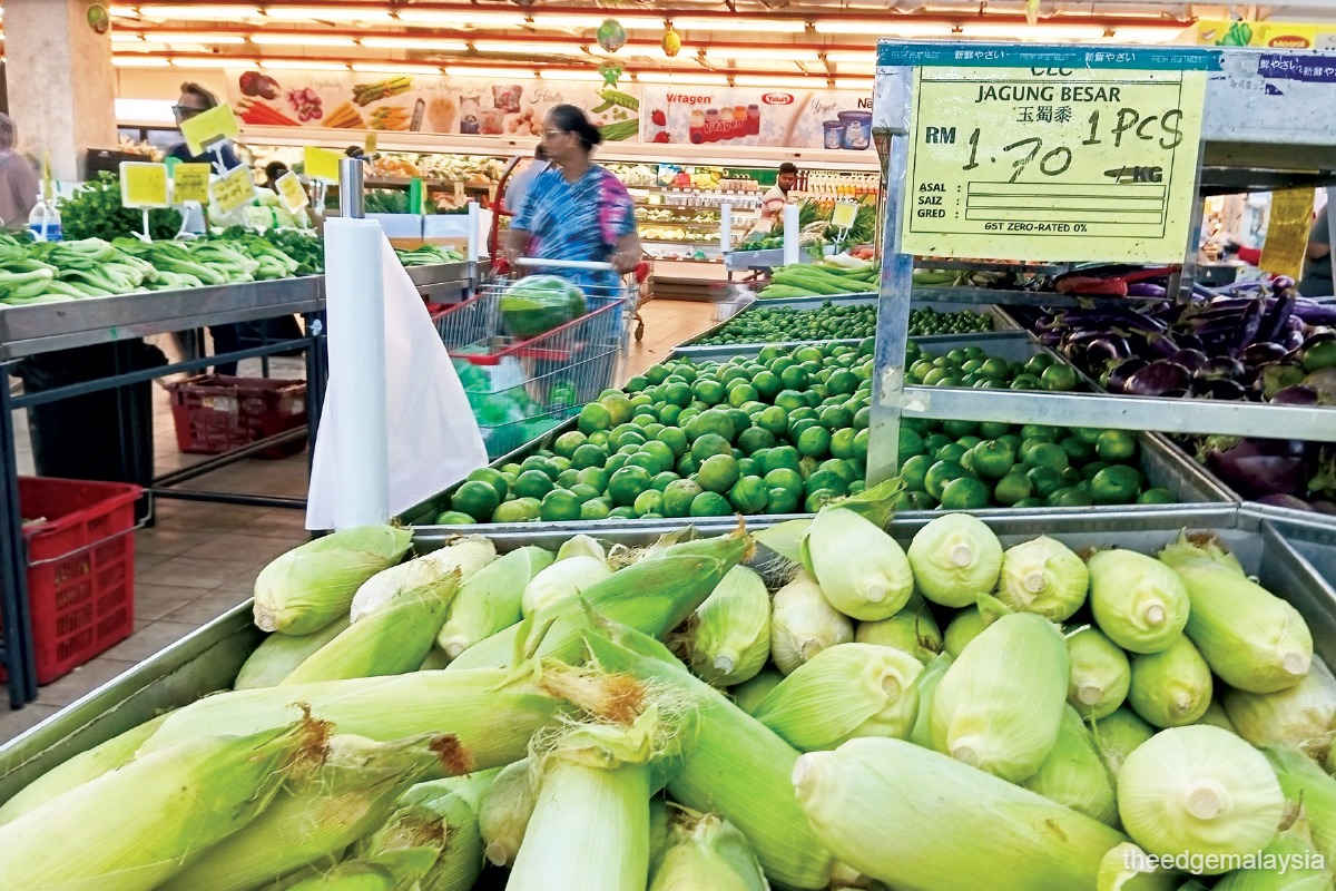 The State of the Nation: Mixed reactions to PMX’s RM100 handout as Malaysia walks fiscal tightrope