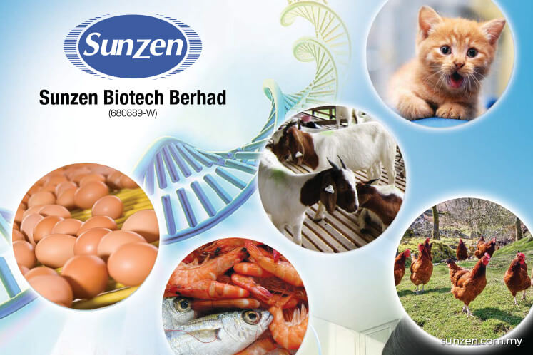 Sunzen posts third consecutive profitable quarter