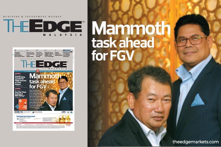 FGV重启并购模式