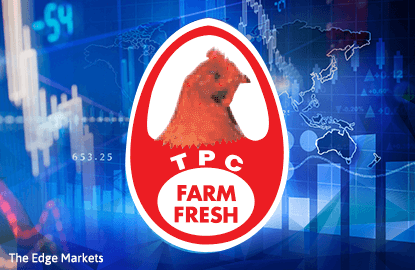 Stock With Momentum: TPC Plus