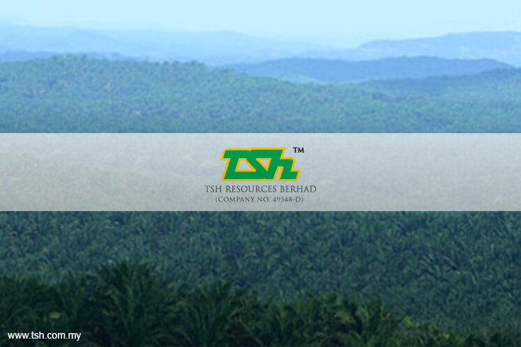 TSH proposed placement to be used as working capital