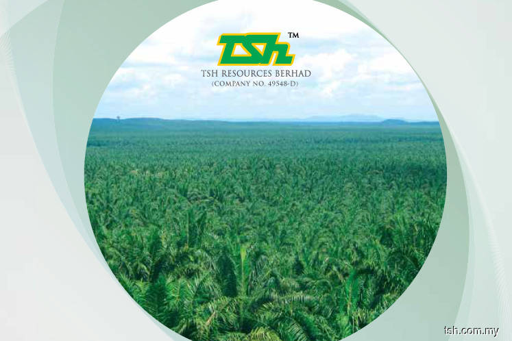 TSH Resources 3Q net profit almost triples to RM30.7m on FFB growth