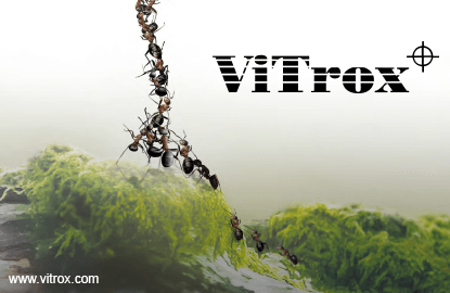 Vitrox upbeat on another record year