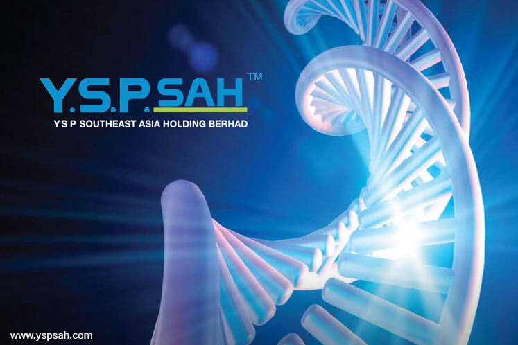 CIMB Research starts coverage on YSP SAH, target price RM3.50
