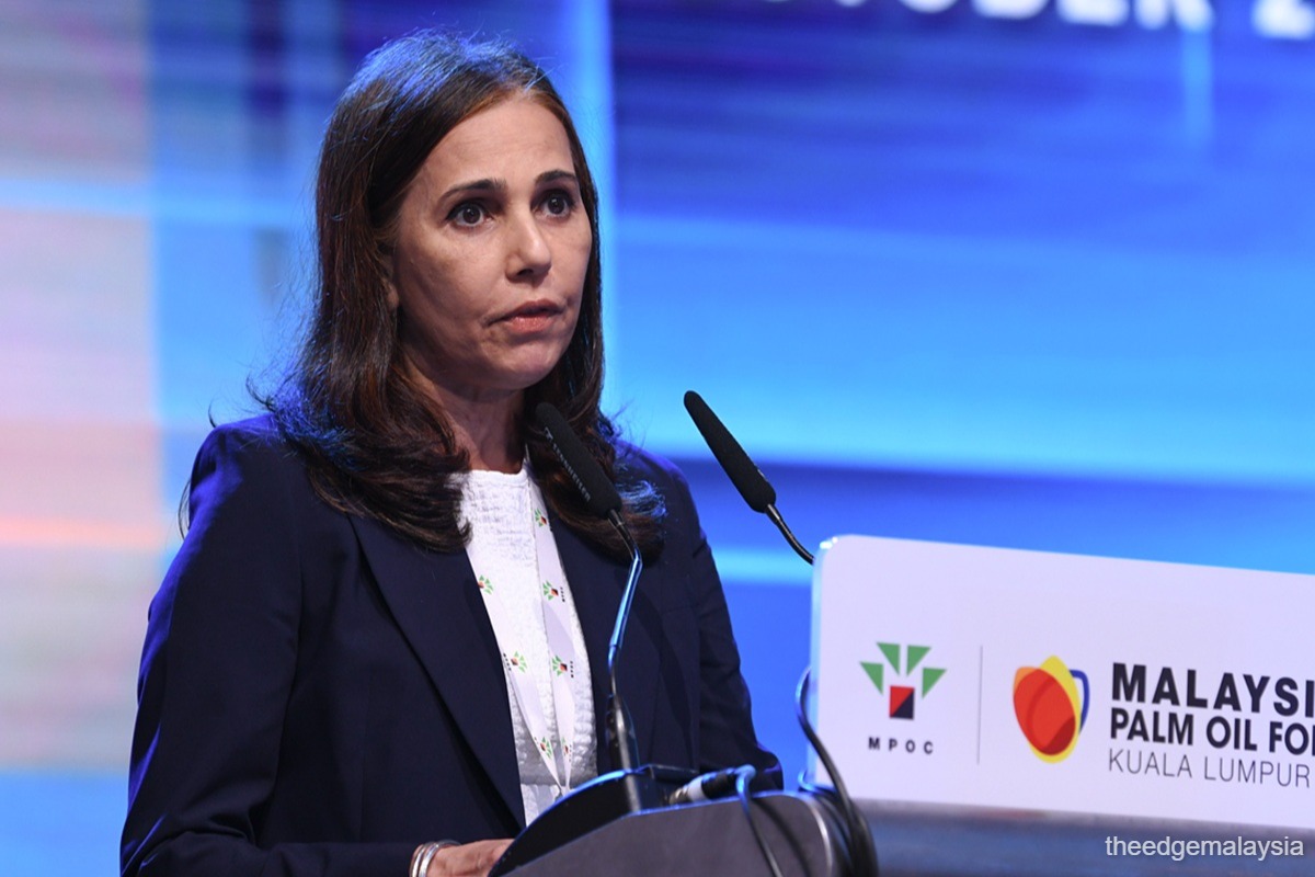 Malaysian Palm Oil Council seeks low-risk status from EU amid delay in ...