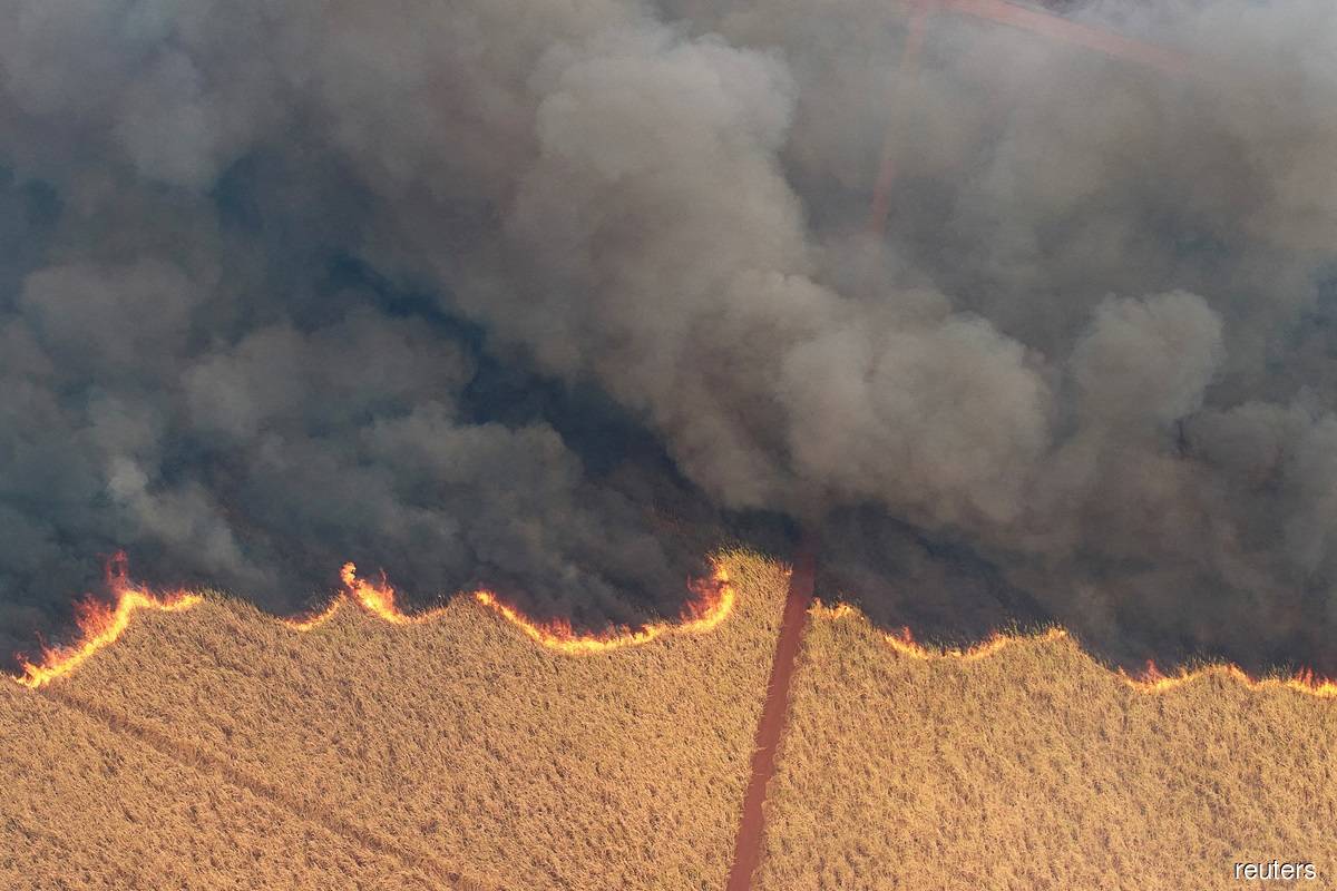 MSM says unaffected by Brazil crop fire thanks to hedging