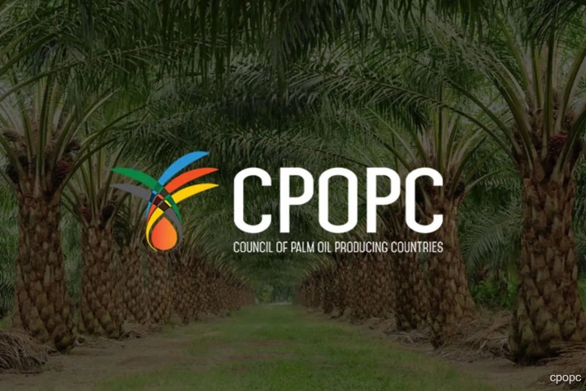 CPOPC forecasts modest 2025 growth in palm oil production | KLSE Screener