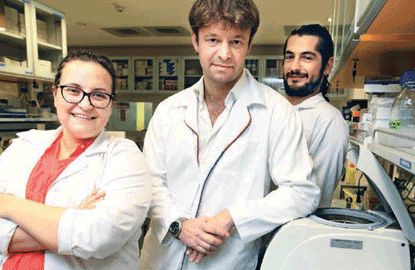 NUS researchers develop home-test kit for Zika virus