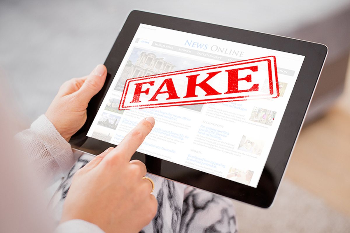 Right to access accurate information vital to reduce spread of fake ...