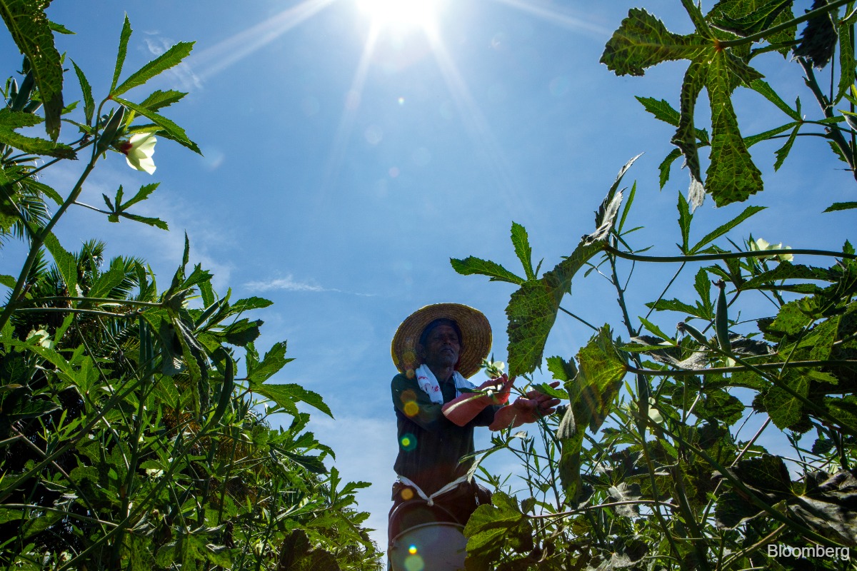 Southeast Asia faces sweltering heat as war limits energy supply