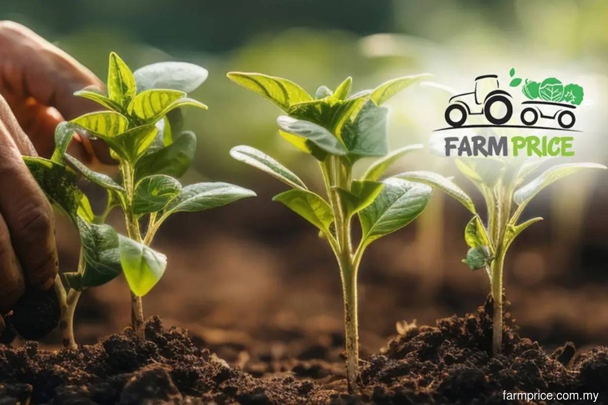 Farm Price ventures into Sabah's fresh produce market via stake ...