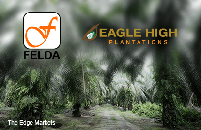 Criticism against Felda’s investment in Eagle High mounts