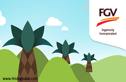 FGV is still in an expansion mode