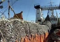 Pacific Andes to raise $195.5 million through rights issue