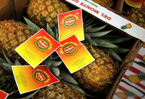 Del Monte Pacific’s 2Q earnings hit by acquisition expenses