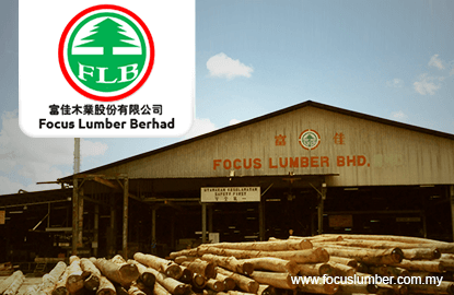 Focus Lumber net beneficiary of strengtening UD dollar, says HLIB Research