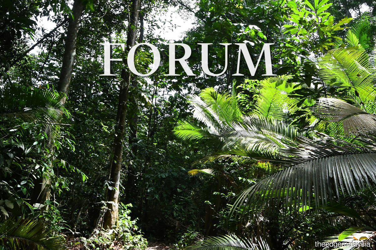 MySay: Sweden is sharing its success in restoring ecosystems with ...