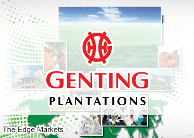 Genting Plantations 1Q net profit down 48% on lower palm prices, FFB yield