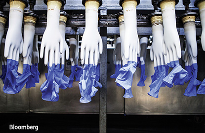 Margma warns glove makers not to expand ‘whimsically’