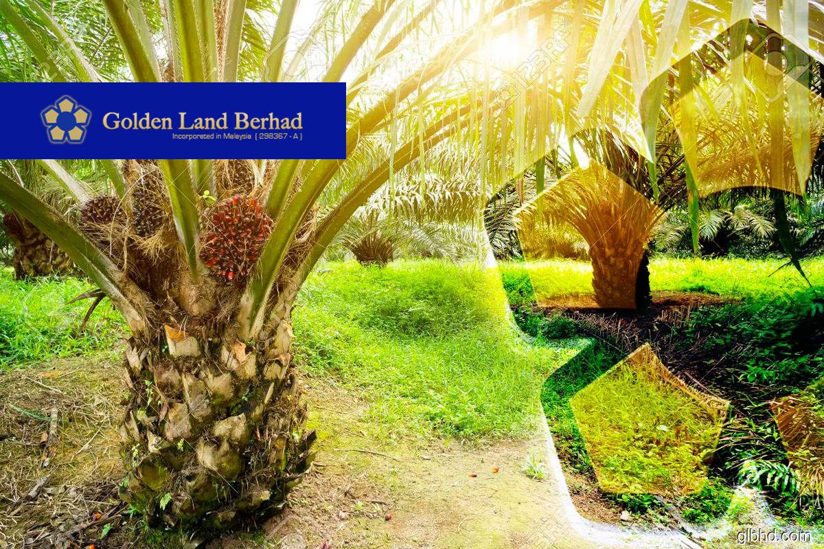 Golden Land redesignates Hashim Meon as independent and non-executive ...