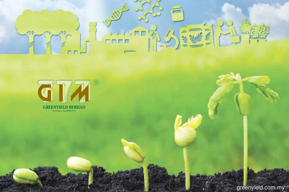 Greenyield names Tham Kin Shun as new acting MD after current CEO’s ...