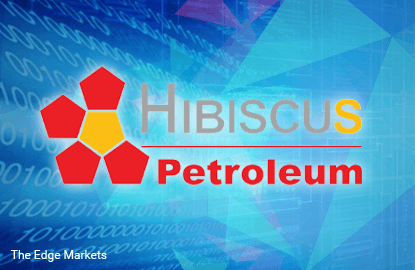 Hibiscus expects to turn cash-positive in FY16
