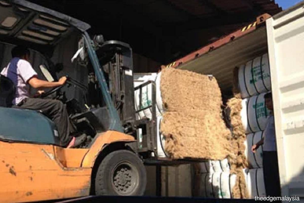 LKTN Eyes 2,500ha of Kenaf Plantation by 2026 | I3investor