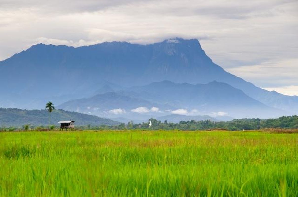 Sabah Development Corridor | Page 28 | SkyscraperCity Forum