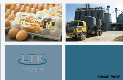 LTKM proposes diversification of core business to property development