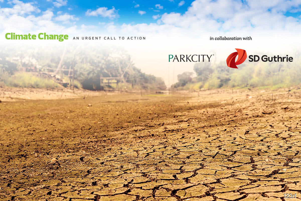 Living with the heat | KLSE Screener