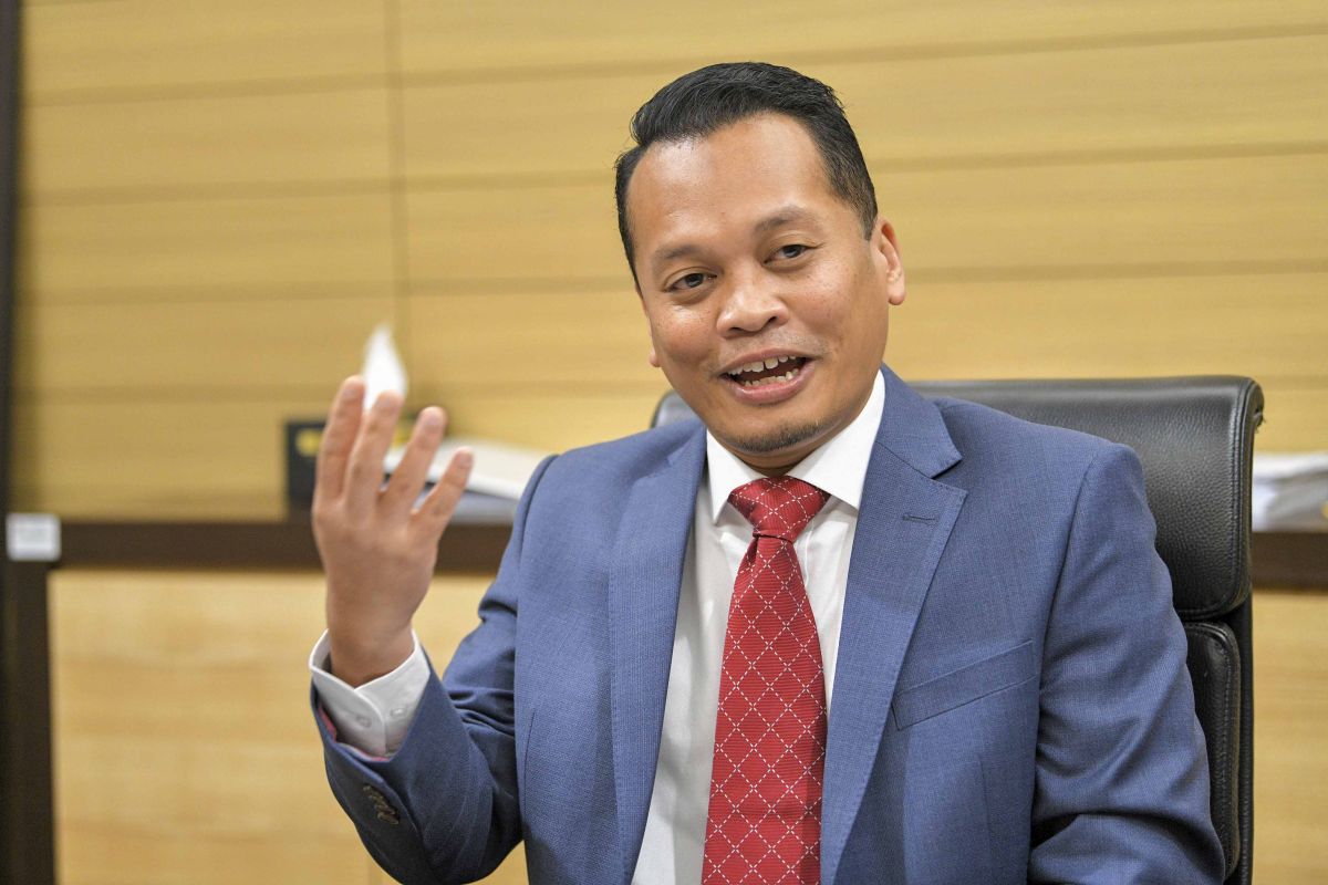 EC shake-up necessary to drive Malaysia's energy transition as ...
