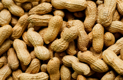 Why Olam’s US$85 mil peanut acquisition is no monkey business