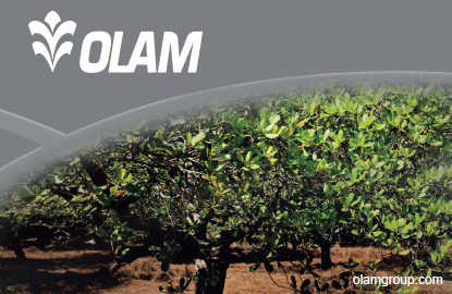 Singapore agri-trader Olam to unveil partnership with Japanese peer ...