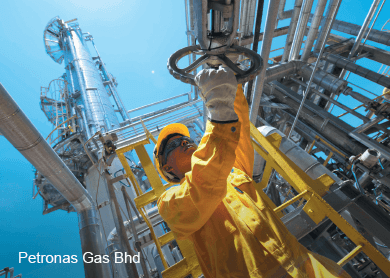 PetGas a resilient play