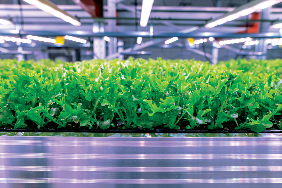 Connected Lighting: When it’s about more than just illumination