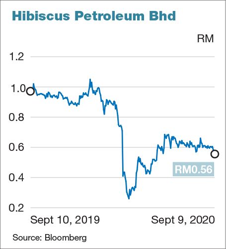 Hibiscus plans RM2b private placement to fund acquisitions