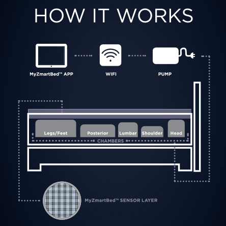 Paving the Way for Sleep Innovation