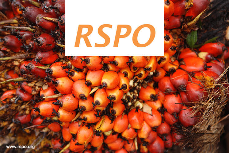 RSPO to unveil 3rd standards revision by Nov 2018
