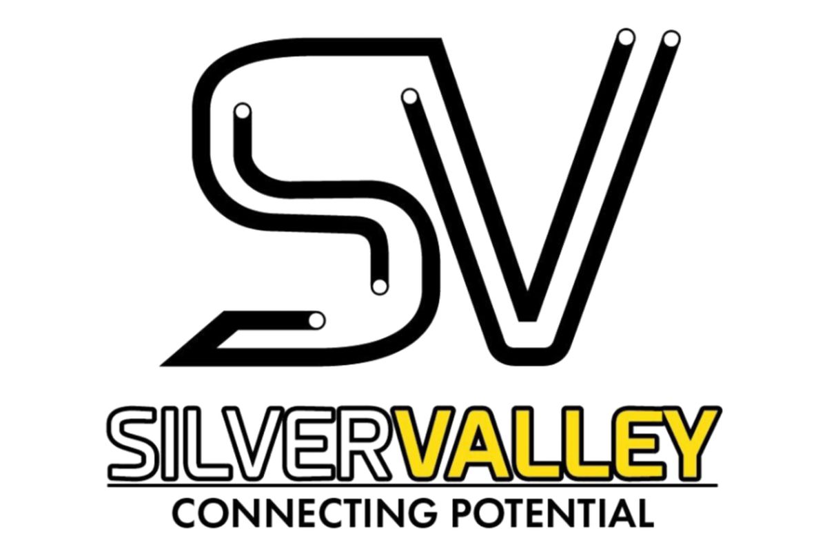 Silver Valley pilot project to be implemented in Kinta Free Industrial ...