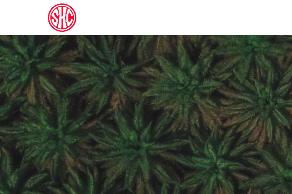 Sin Heng Chan proposes private placement to raise RM29.8 mil for ...